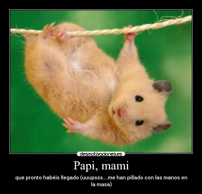 Papi, mami | Desmotivaciones